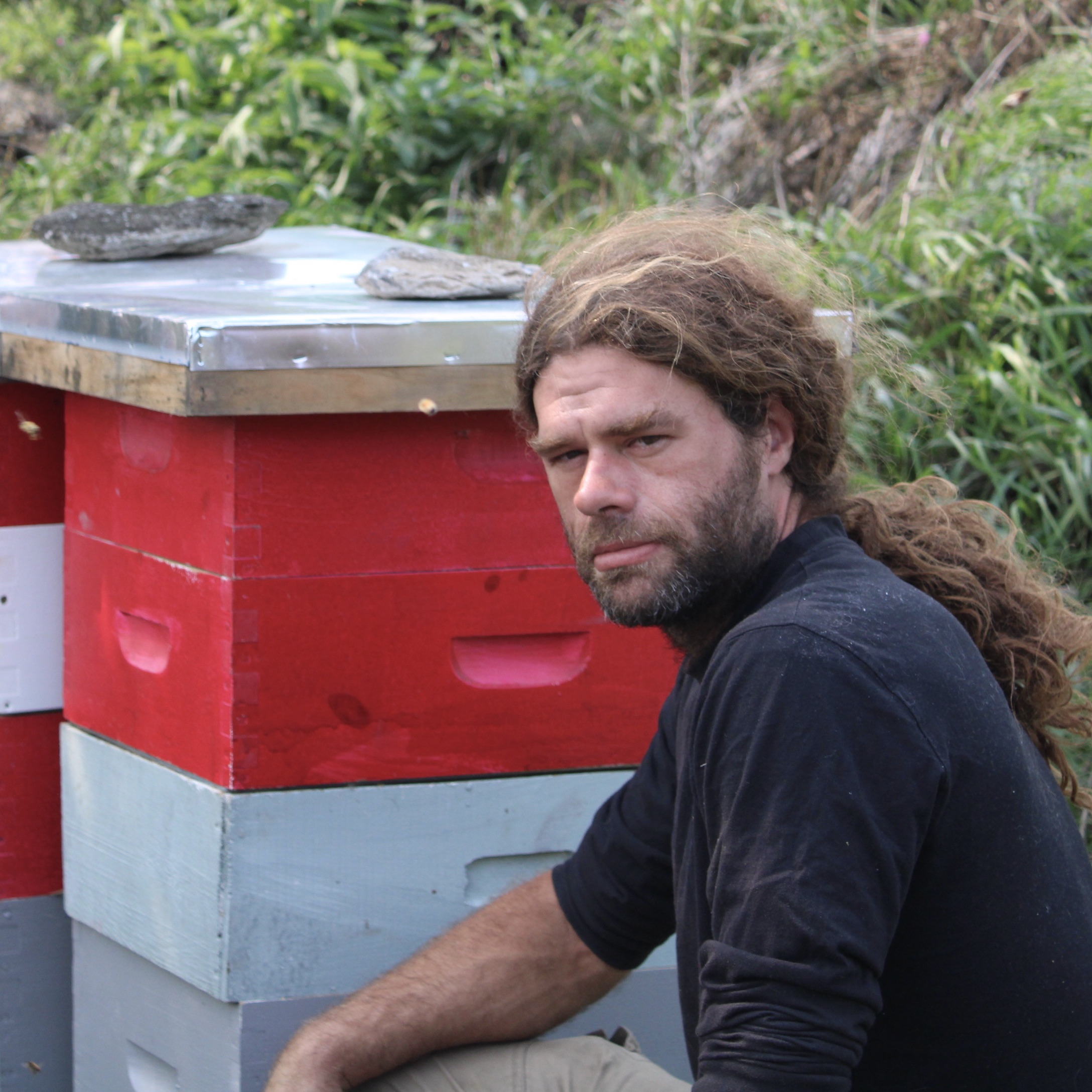 Teaching Fellows – Edifice Atelier Institute